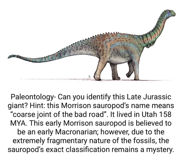 Paleontology- Can you identify this Late Jurassic giant? Hint: this ...