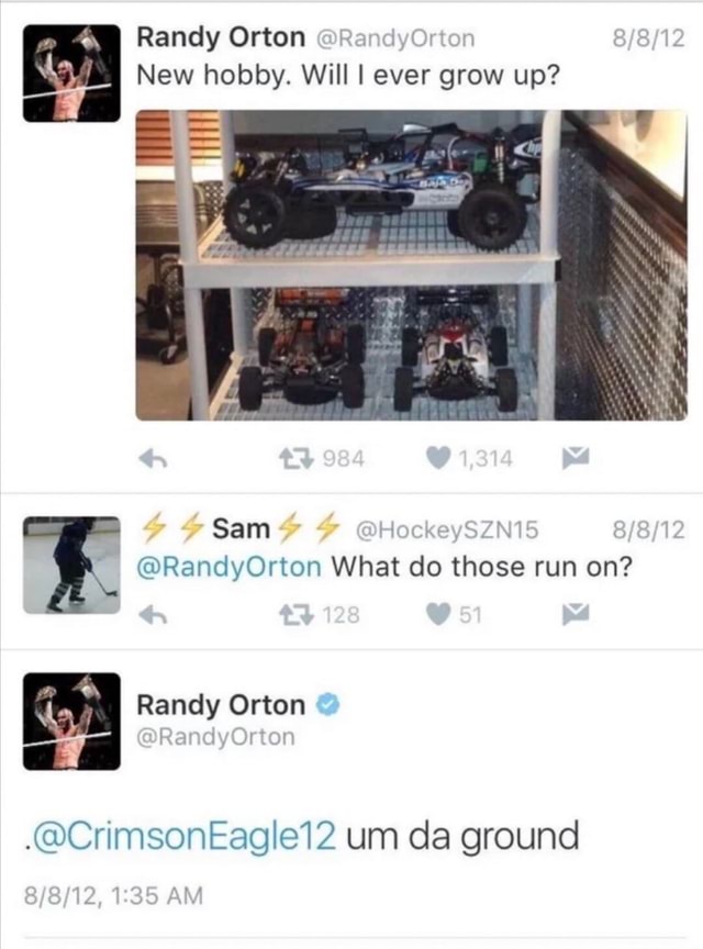 Randy Orton @RandyOrton \2 New hobby. Will I ever grow up? 984 Sam ...