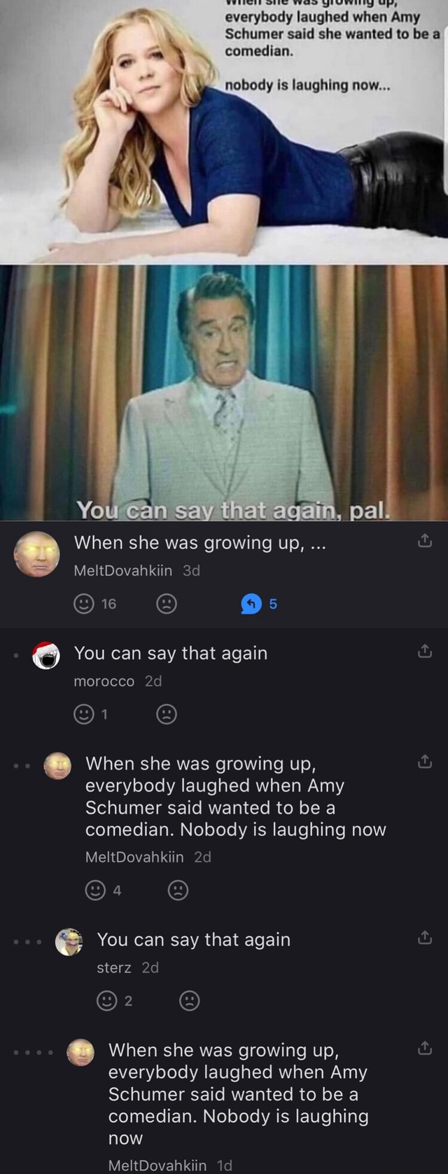 Everybody laughed when Amy Schumer said she wanted to be a comedian ...