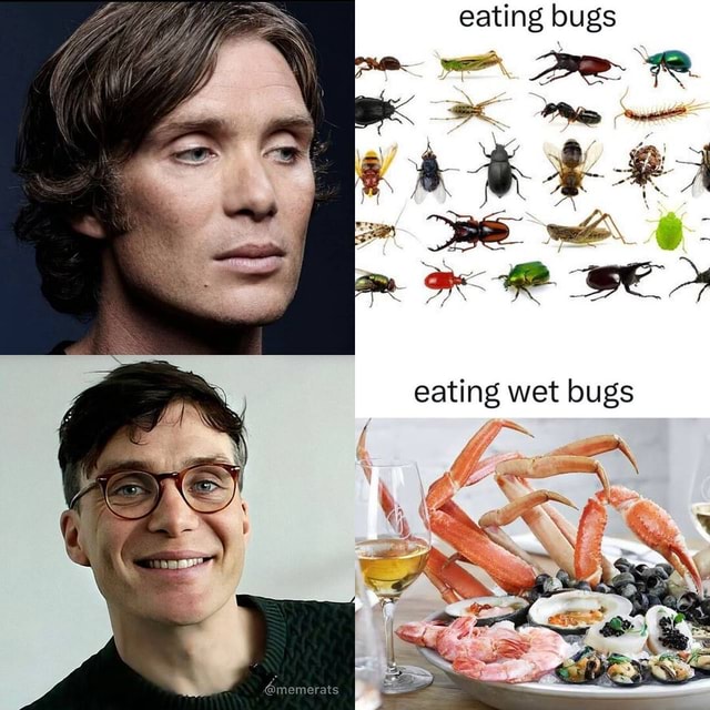 Wet bugs go hard though . . . . #cillianmurphy #oppenheimer #meme # ...
