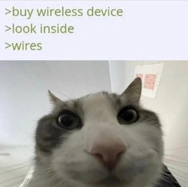 >buy wireless device >look inside >wires - iFunny Brazil