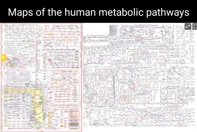 Metabolic Map Tumblr