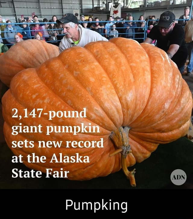 2,147-pound giant pumpkin sets new record at the Alaska State Fair ...