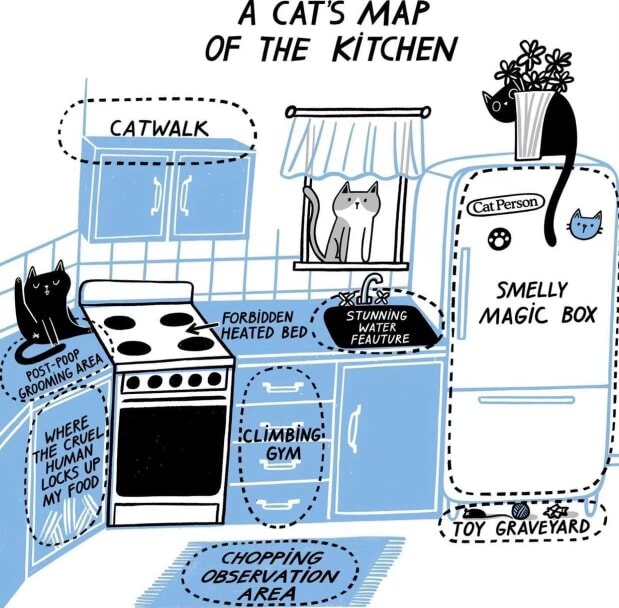 A CAT5 MAP OF THE KITCHEN SMELLY MAGIC BOX - iFunny