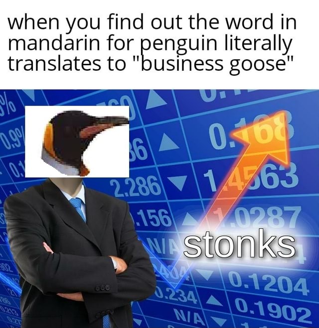 When you find out the word in mandarin for penguin literally translates ...