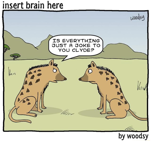 Insert brain here IS EVERYTHING SUST A SOKE TO YOU hv woodsv - iFunny