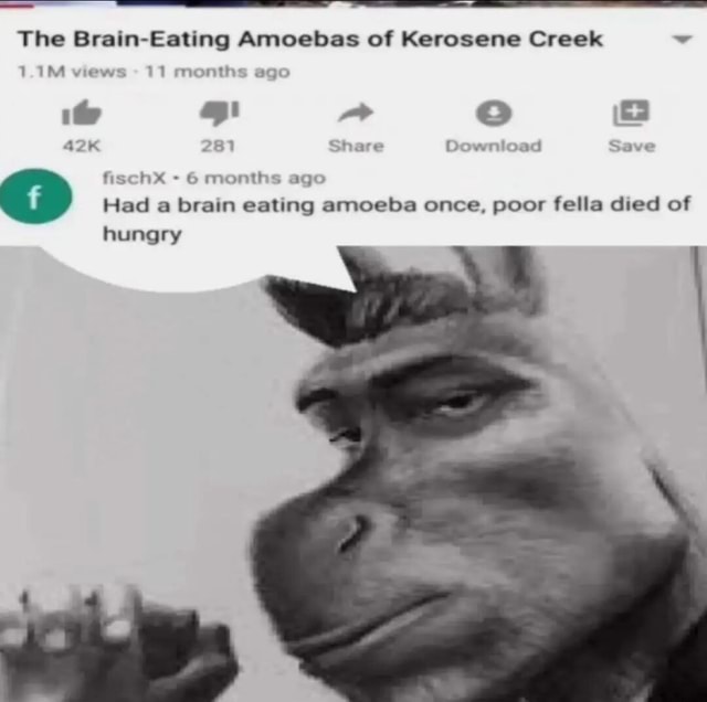 The Brain-Eating Amoebas of Kerosene Creek nt te > eS fischX - 6 months ...