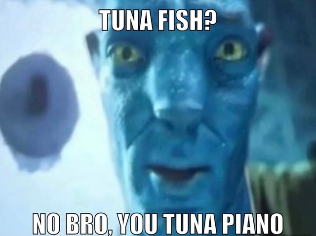 TUNA FISH? NO BRO. YOU TUNA PIANO - iFunny