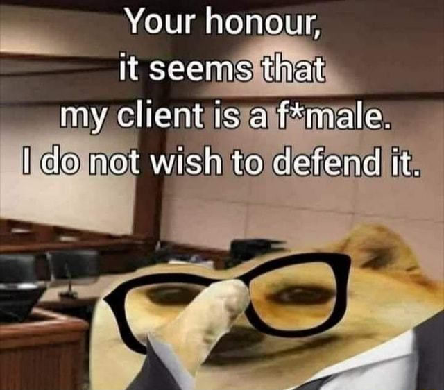 Your honour, it seemme that ny client finale (do net wish to defend lit ...