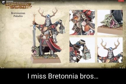 I miss Bretonnia bros - iFunny