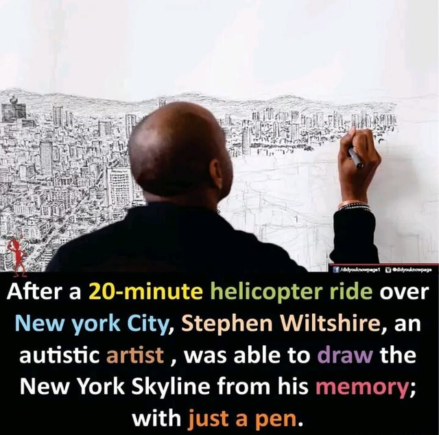 After a 20-minute helicopter ride over New york City, Stephen Wiltshire ...