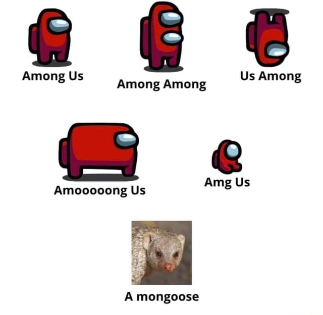 Among Us Among Among Us Among Amg Us Amooooong Us A mongoose - iFunny