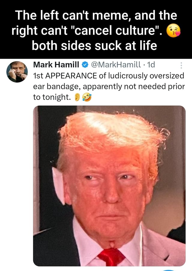 The left can't meme, and the right can't "cancel culture". both sides ...