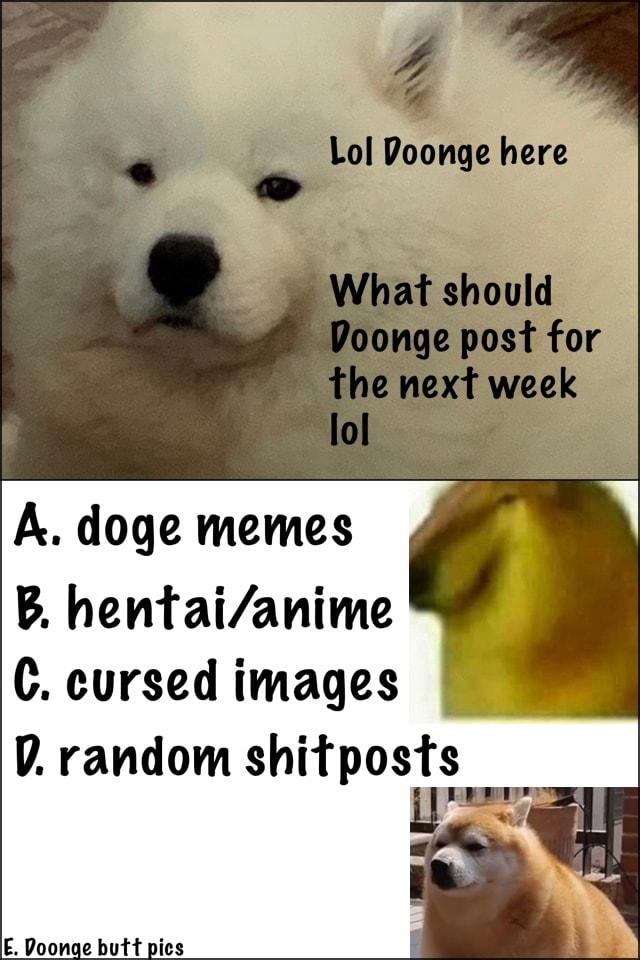 A. doge memes B. hentai/anime C. cursed images - iFunny