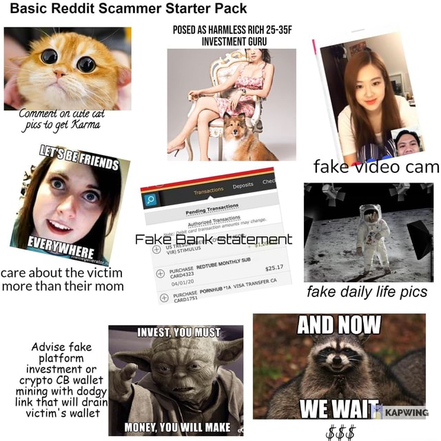 Basic Reddit Scammer Starter Pack POSED AS HARMLESS RICH 25-35F ...