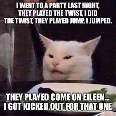 I WENT TO A PARTY LAST NIGHT, THEY PLAYED THE TWIST, I DID THE TWIST ...