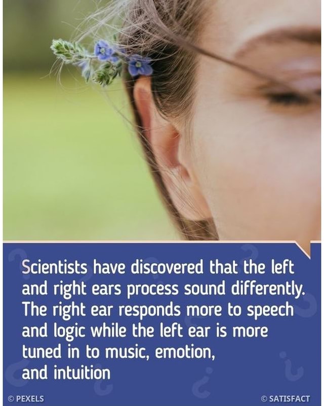 Scientists have discovered that the left and right ears process sound ...