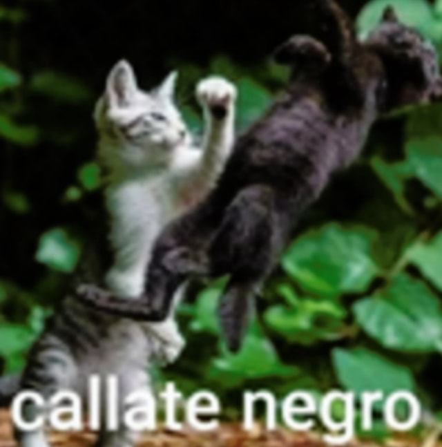 Callate negro - iFunny Brazil