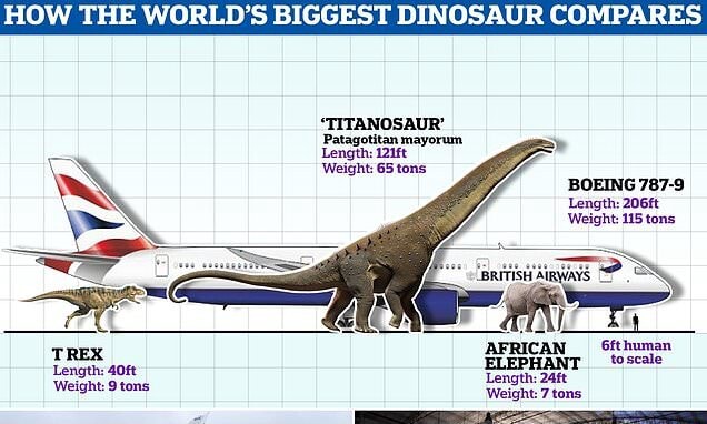 HOW THE WORLD'S BIGGEST DINOSAUR COMPARES "TITANOSAUR' Patagotitan ...