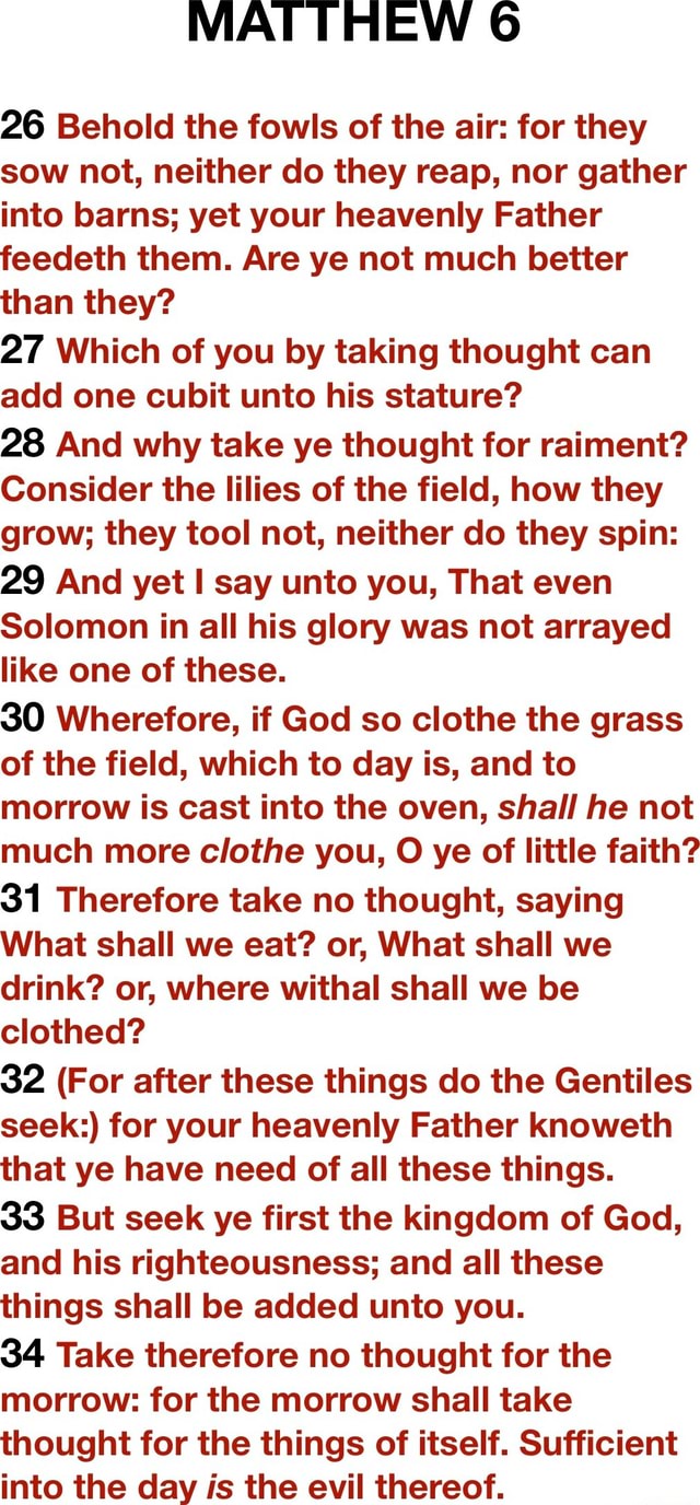 MATTHEW 6 AS Behold the fowls of the air: for they sow not, neither do ...