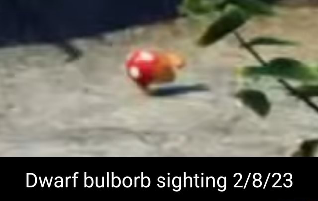 Dwarf bulborb sighting - iFunny