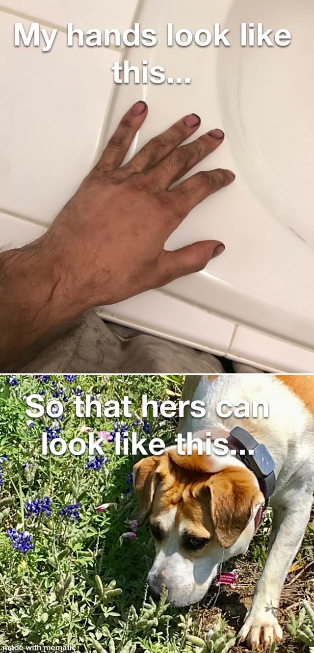 My hands look like this... look like this,.. oN, LA At - iFunny