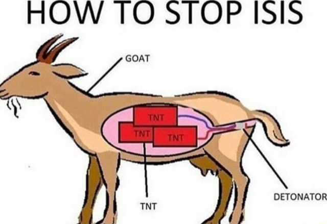 HOW TO STOP ISIS GOAT - iFunny