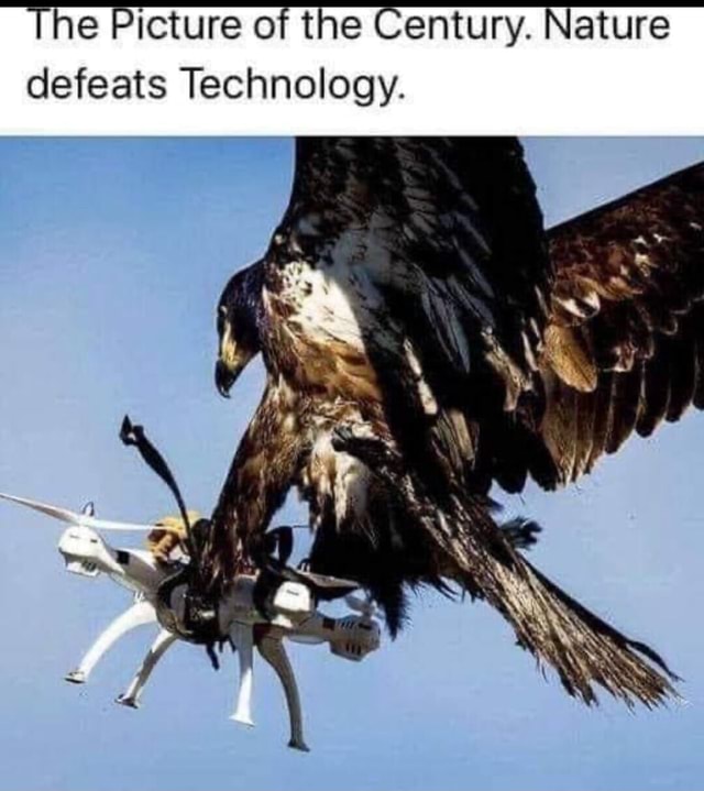 The Picture of the Century. Nature defeats Technology. - America’s best ...