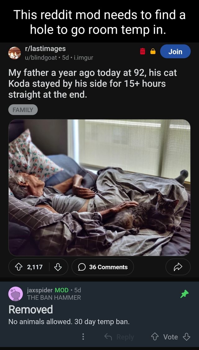 This reddit mod needs to find a hole to go room temp in. Sd L.imgur ...