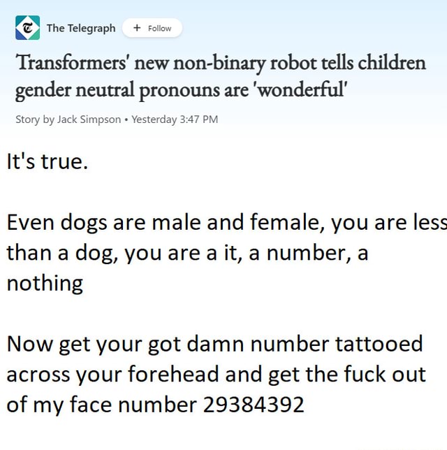 Fe) The Telegraph + Follow Transformers' new non-binary robot tells ...