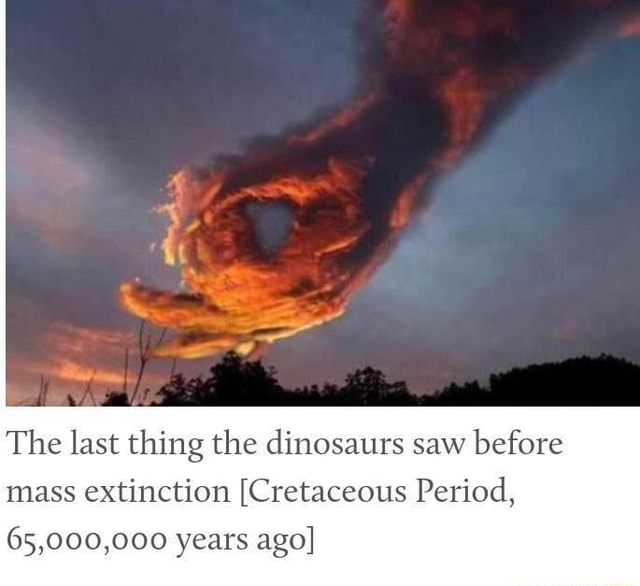 The last thing the dinosaurs saw before mass extinction [Cretaceous ...