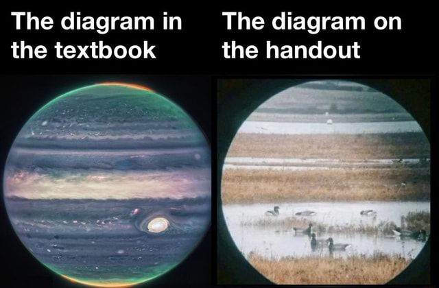 The diagram in The diagram on the textbook the handout - iFunny