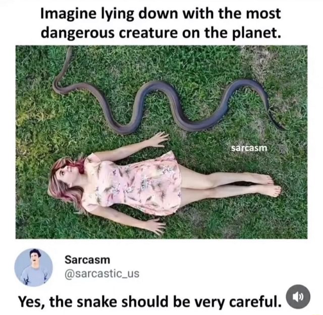 Imagine lying down with the most dangerous creature on the planet ...