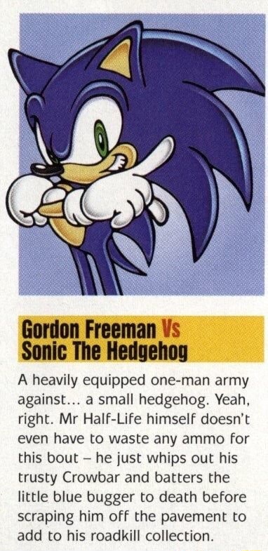 Gordon Freeman Vs Sonic The Hedgehog A heavily equipped one-man army ...