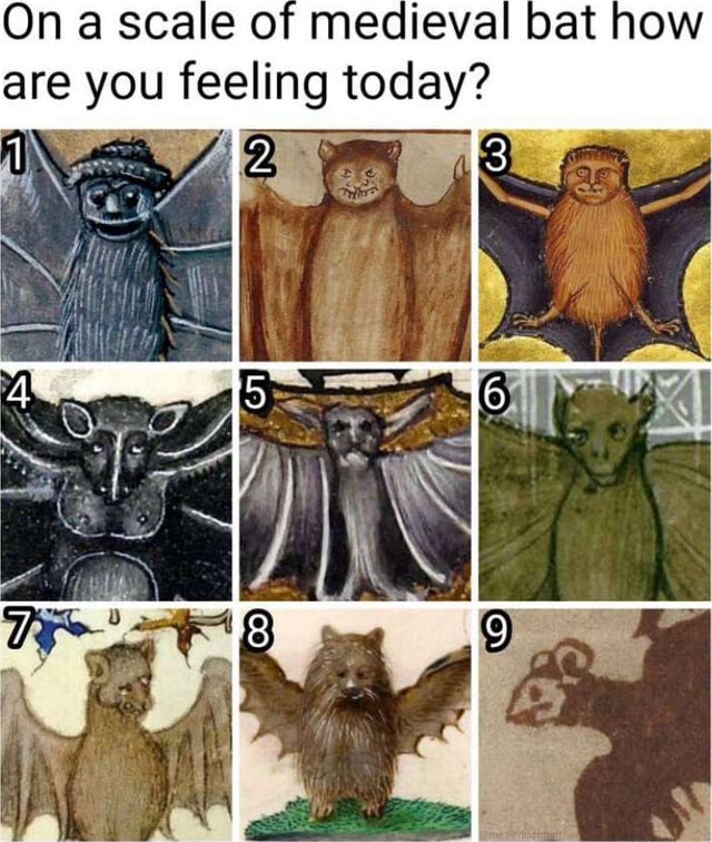 On a scale of medieval bat how are you feeling today? - iFunny
