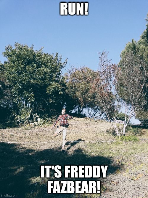 RUN! IT'S FREDDY FAZBEAR! - IT'S FREDDY FAZBEAR! - iFunny