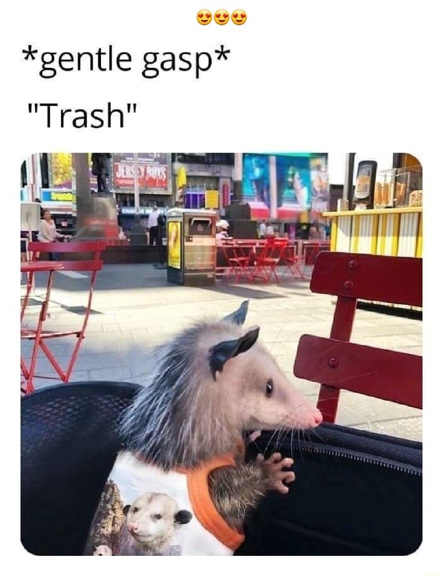*gentle gasp* "Trash" - iFunny