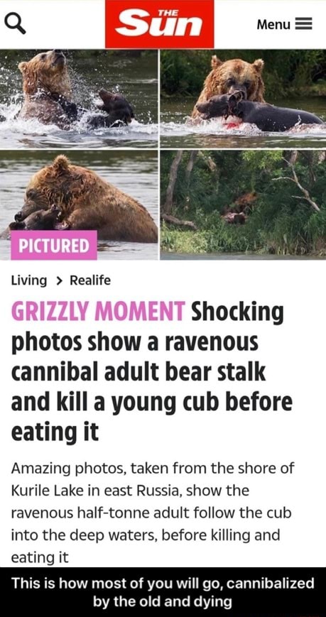 Living GRIZZLY MOMENT Shocking photos show a ravenous cannibal adult ...
