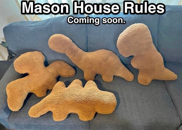 Mason 'House Rules Coming soon. - iFunny