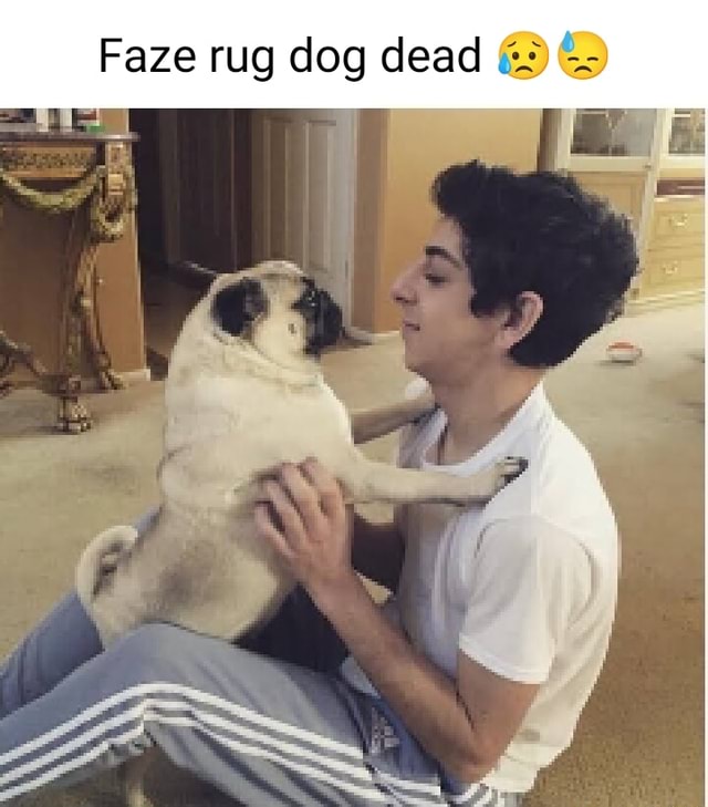 Faze rug dog dead - iFunny