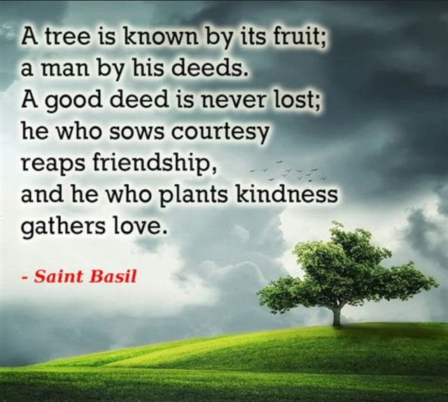 AA tree is known n by its fruit; a man by his deeds. A good deed is ...