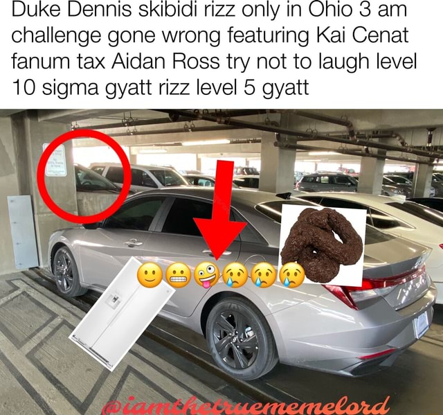 Duke Dennis skibidi rizz only in Ohio 3 am challenge gone wrong ...