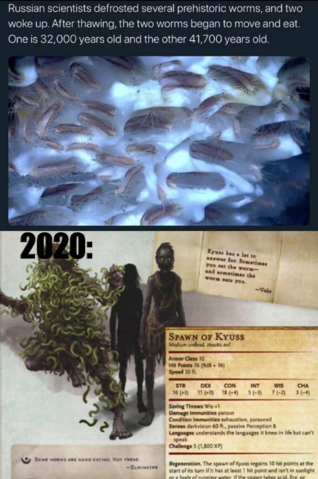 Russian scientists defrosted several prehistoric worms, and two woke up ...