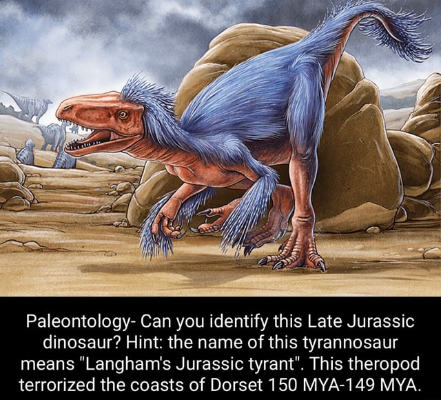 Paleontology- Can you identify this Late Jurassic dinosaur? Hint: the ...