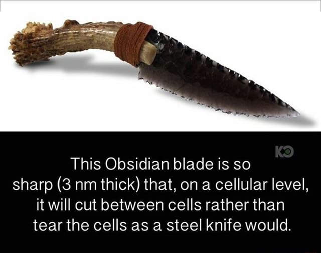 This Obsidian blade is so sharp (3 nm thick) that, on a cellular level ...