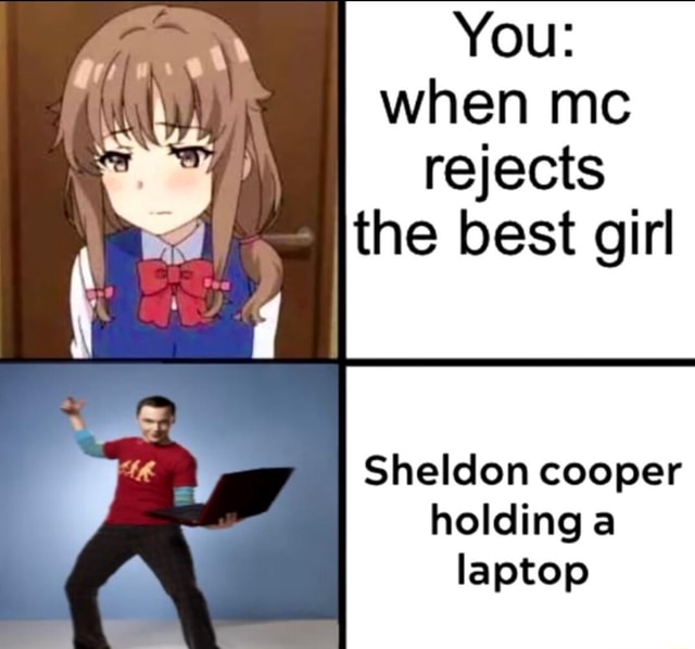 You: when mc rejects the best girl Sheldon cooper holding a laptop - iFunny