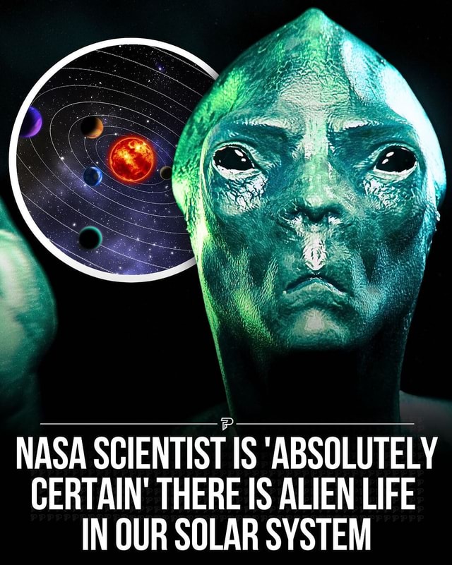 A NASA scientist says shes absolutely certain theres alien life in our ...