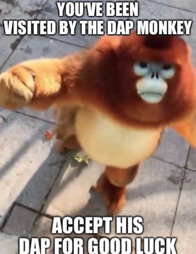 YOU'VE BEEN VISITED BY THE DAP MONKEY ACCEPT HIS NAP FOR GOOD LUCK - iFunny
