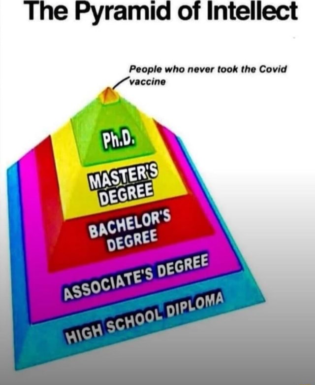The Pyramid of Intellect People who never took the Covid - iFunny