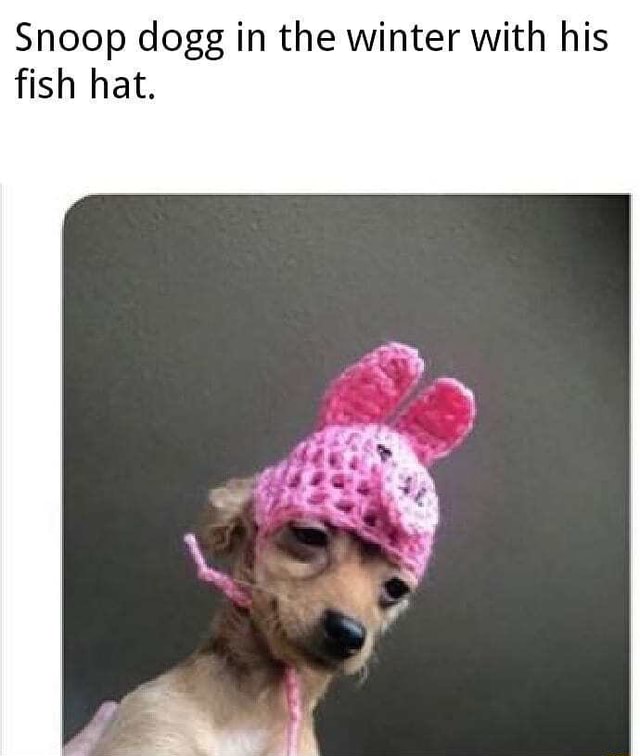 Snoop dogg in the winter with his fish hat. - iFunny